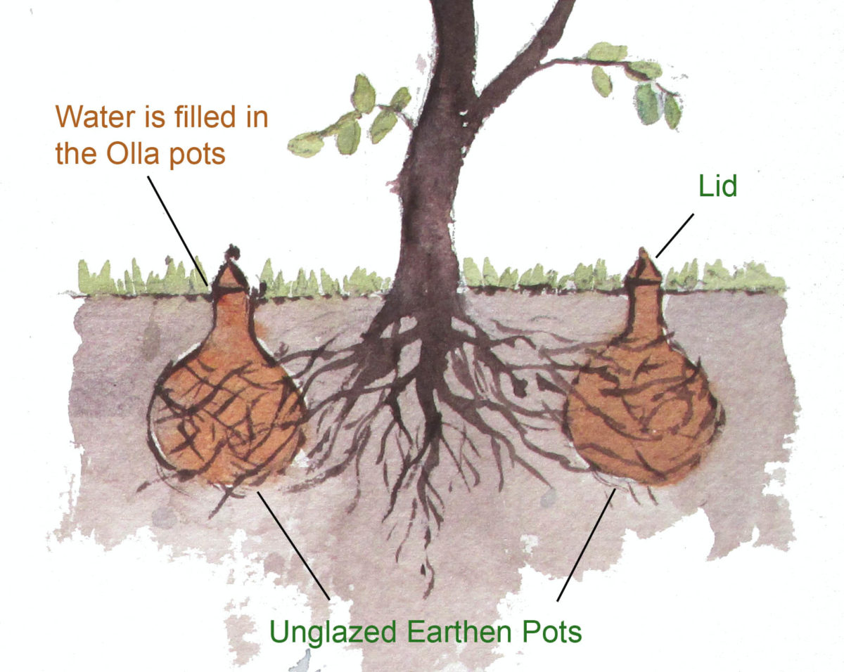 Make Your Own Inexpensive Self Watering Container Make Your Own Inexpensive Self Watering Container